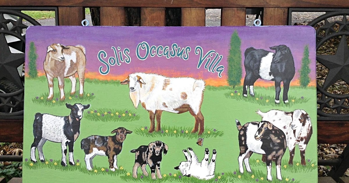 Phils4winds; paintings on Wood and Slate : Show Pen Sign, Stall Sign ...