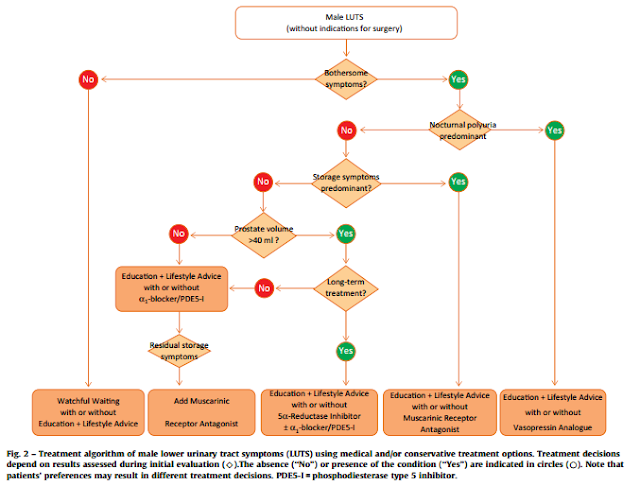 ASK DIS: Benign Prostate Hyperplasia : Treatment Algorithm