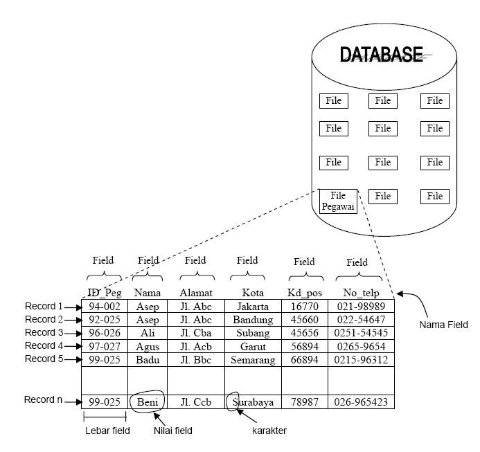pengertian database dan sejarahnya - ubaidillah blog