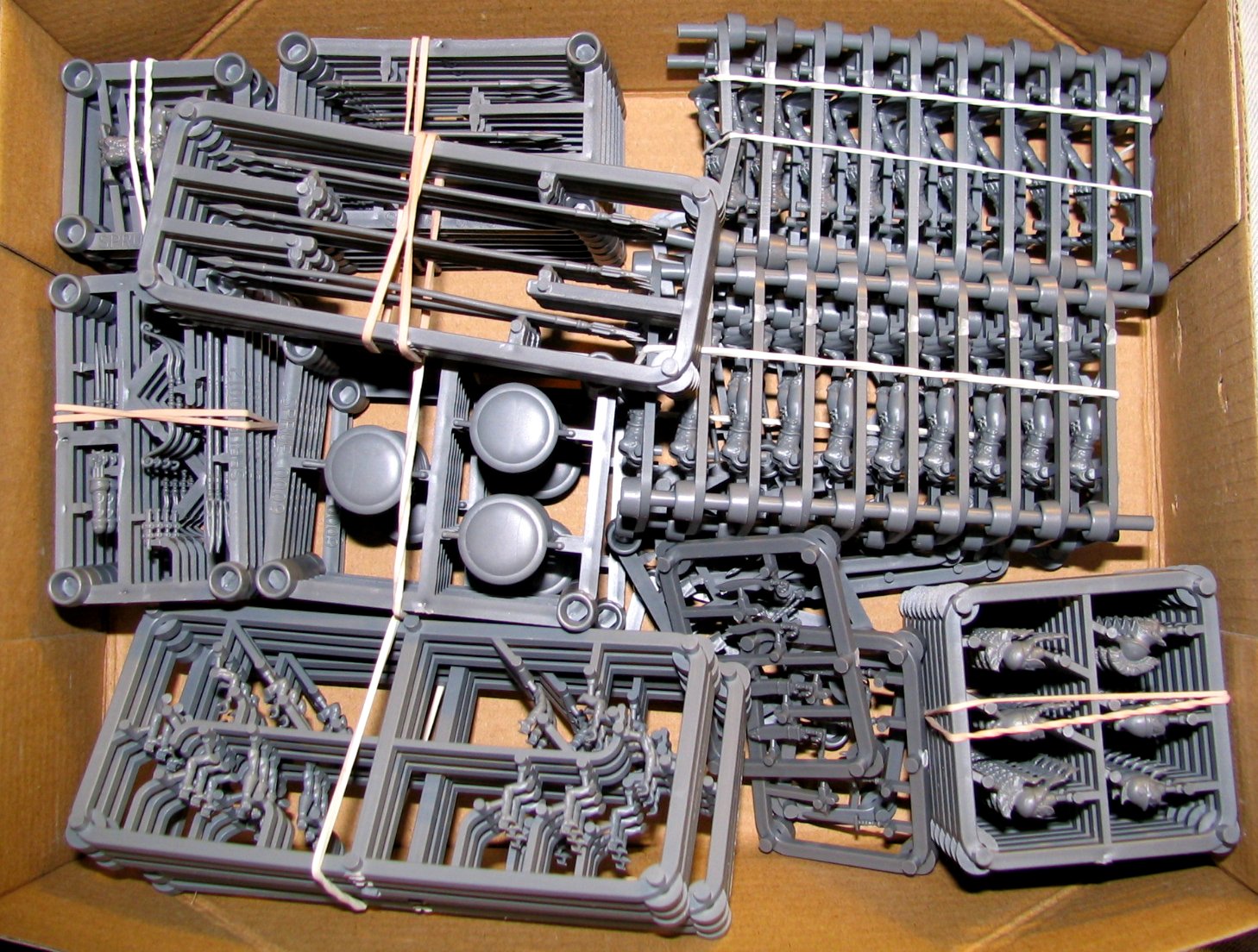 Wargames Factory Amazons- I Finally Got Some