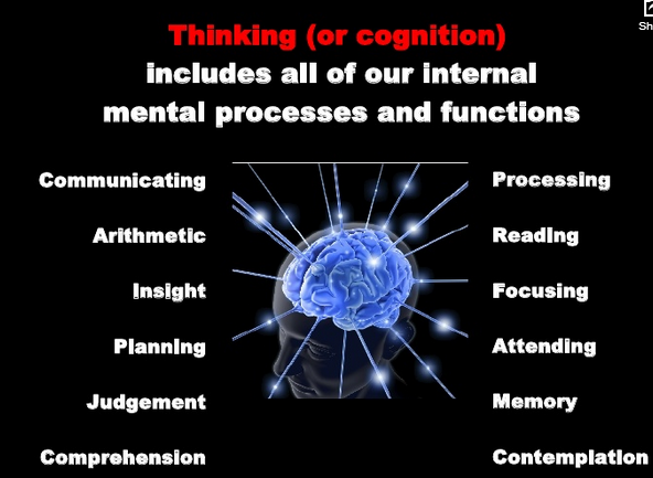 BUSINESS STUDY BLOG: how the brain works