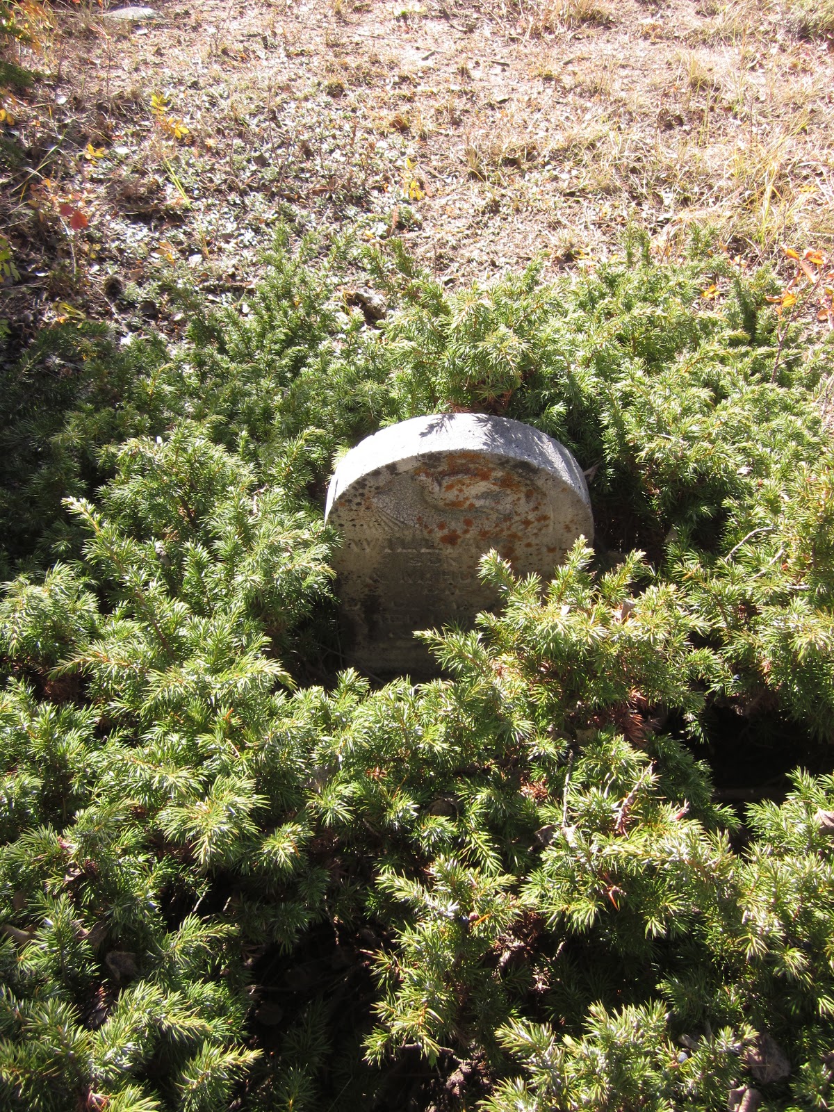 The Land of Melting Shadows: Georgetown Cemetery