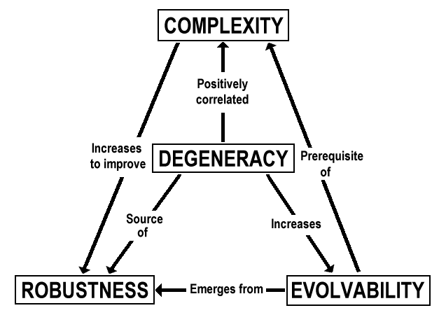 Synthetic Daisies: Degeneracy: a central mechanism in evolution
