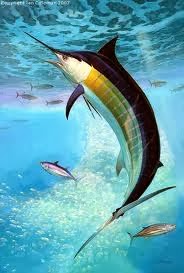 The Bahamas: Bahamian Symbols