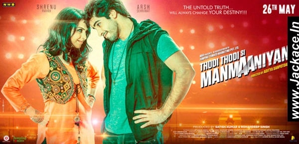 Thodi Thodi Si Manmaaniyan: Box Office, Budget, Cast, Hit or Flop ...