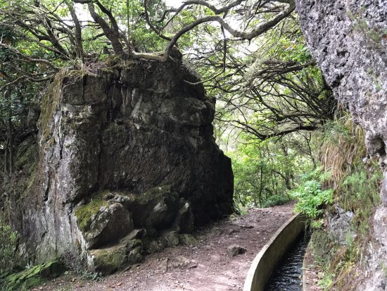 levada do furado PR10 - Madeira Turismo - Tourist Guide to the Island ...