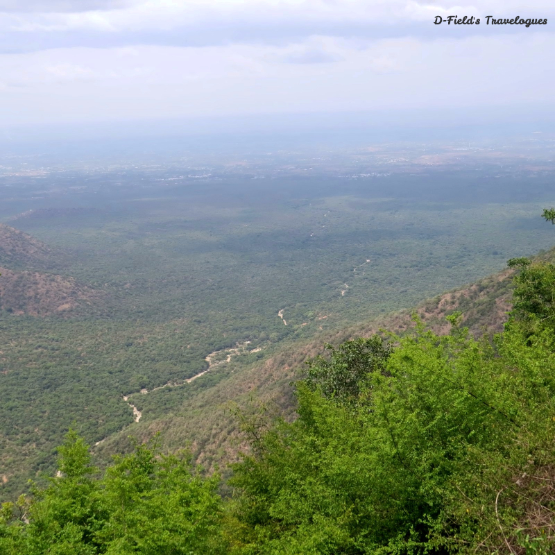 Life in Ride - D-Field's Travelogues