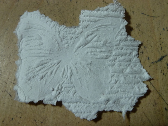 Art and Sole: Papercasting..