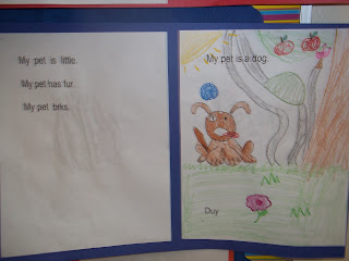 Mrs. Wood's Kindergarten Class: Pets!