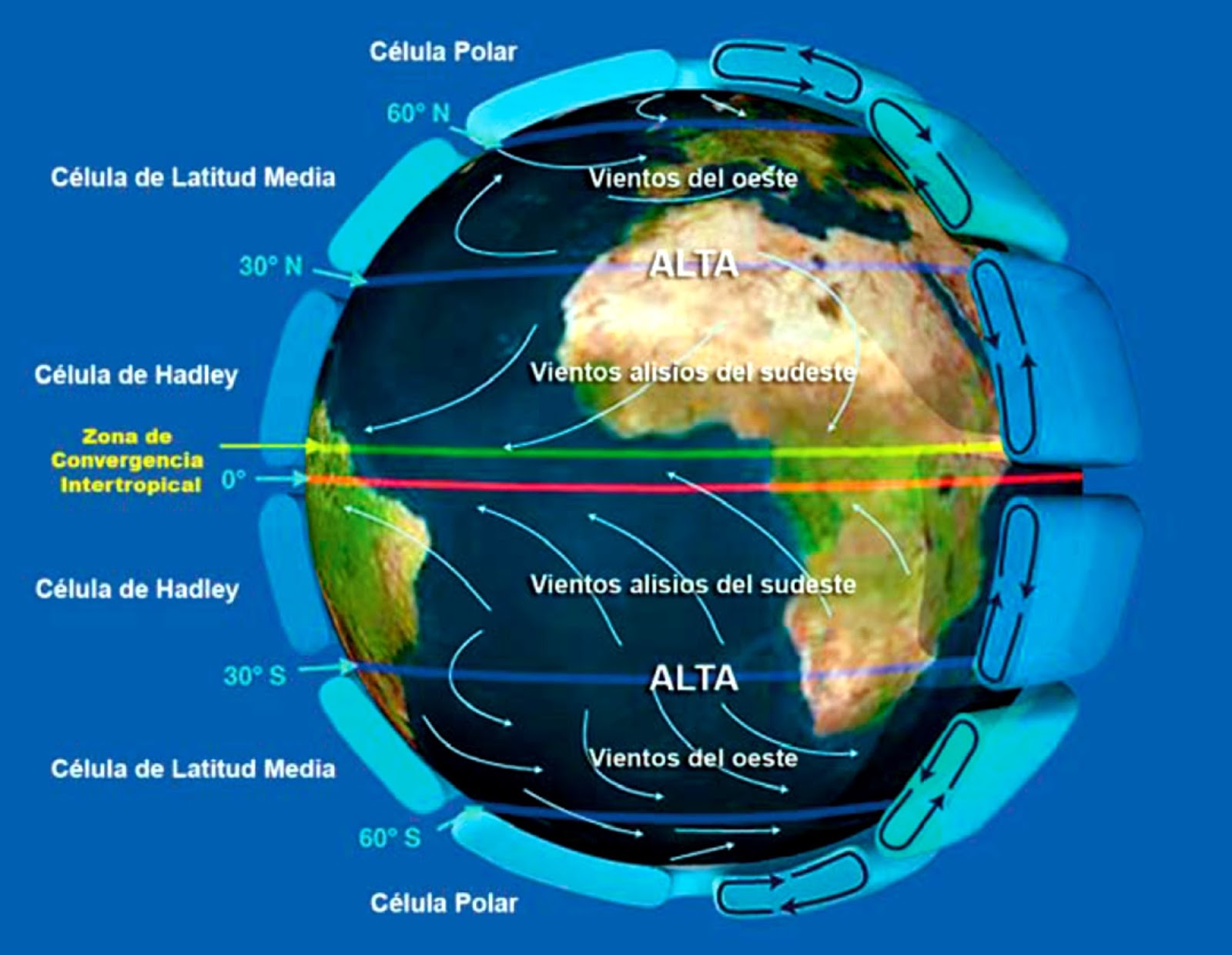 Bitácora Verde: 08 de Junio - Día Mundial del Océano