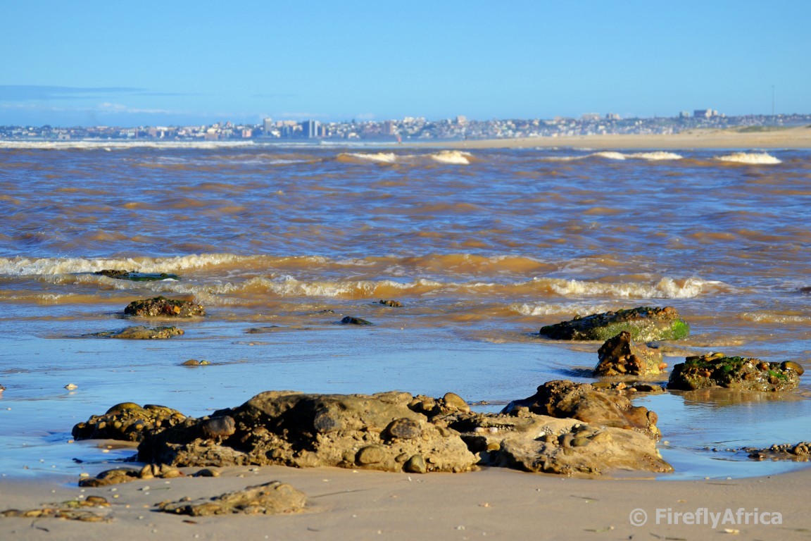 Port Elizabeth Daily Photo: The Swartkops River Mouth