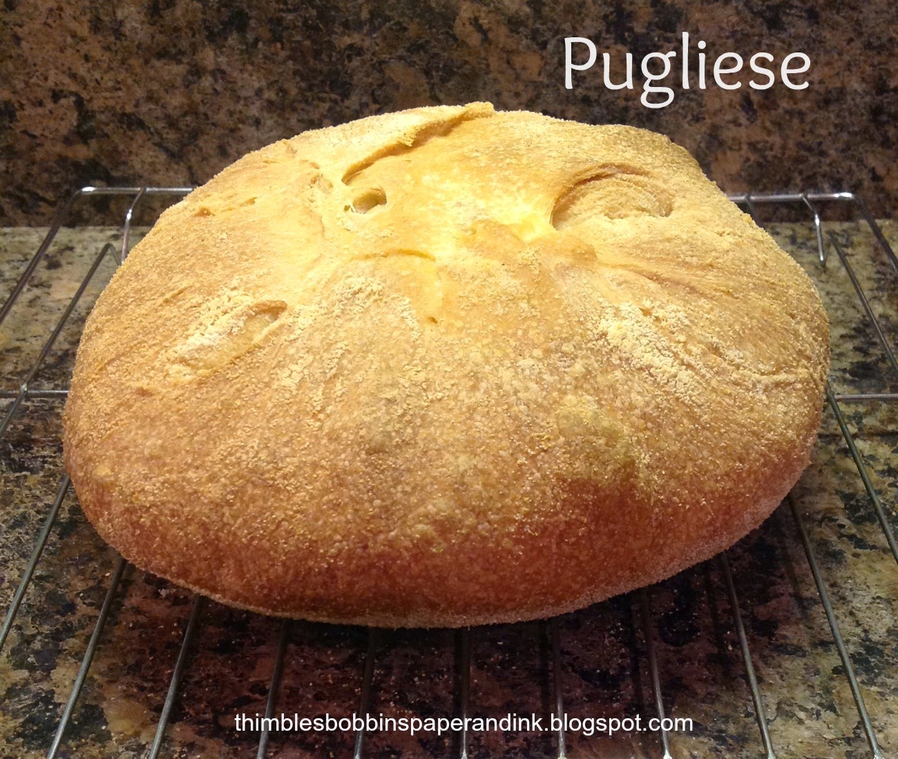 Thimbles, Bobbins, Paper and Ink: Pugliese