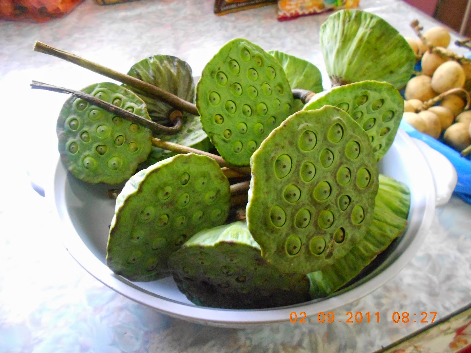 Buah Teratai