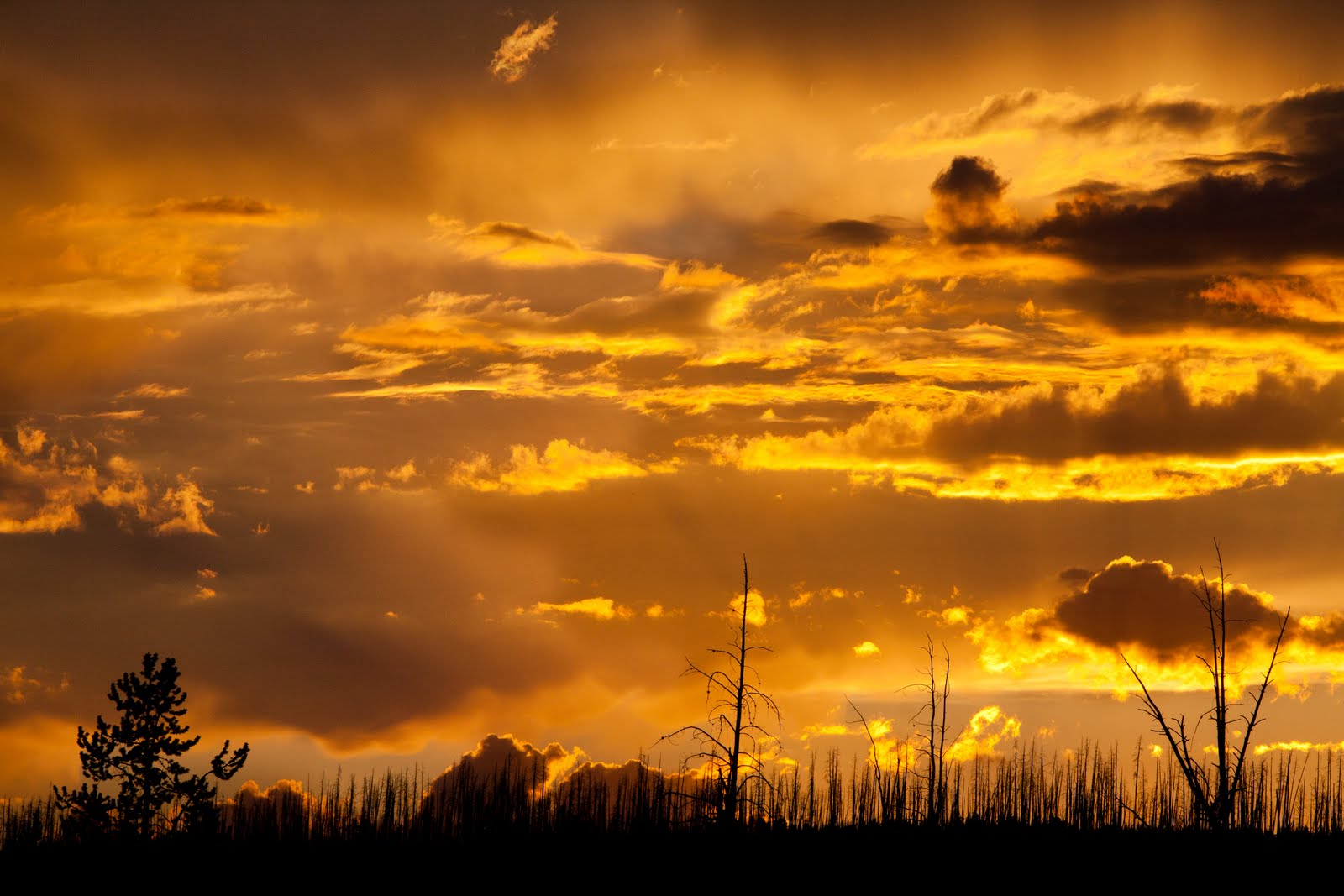 Light. Places. Time.: Sunset over Central Plateau. Yellowstone National ...