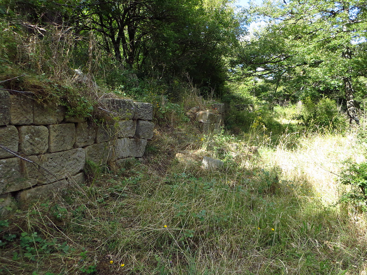 Monte Torretta di Pietragalla (Pz): presto un protocollo per il sito ...