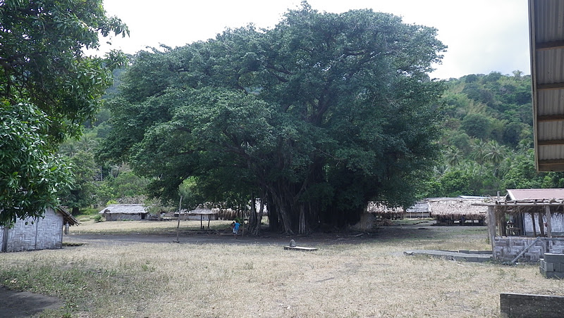 Vanuatu: West coast, Santo