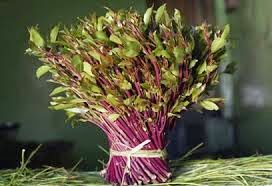 Fahamu Madhara Ya Mirungi (Gomba,Miraa) Kiafya | Sadataley Kurwa @ E.L ...