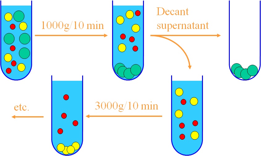My Scientific Blog - Research and Articles: The Basic Separation Technique