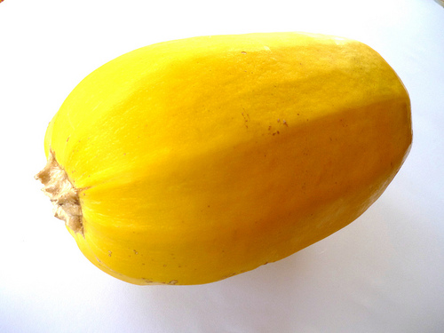Spaghetti Melon