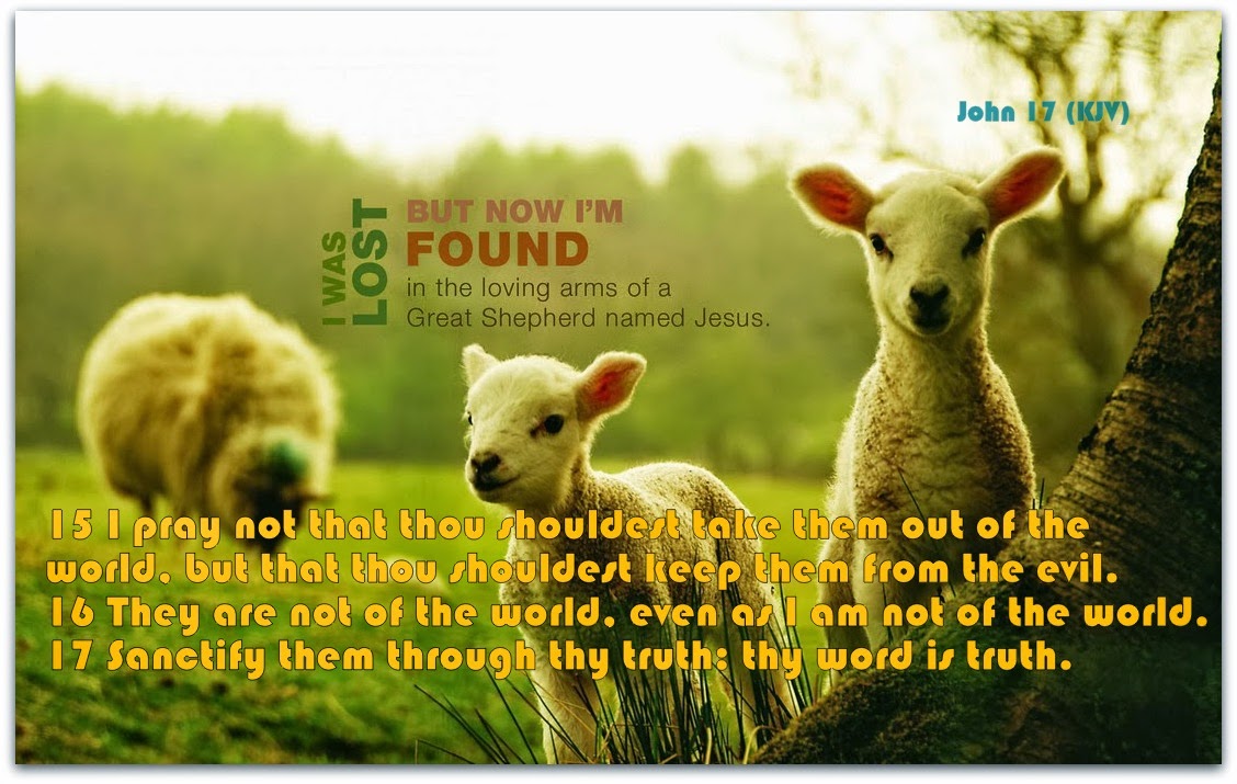 Red Pill Diaries: John 17 (KJV)