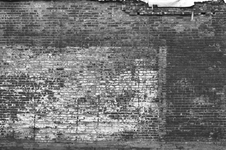 travis markel [photographer]