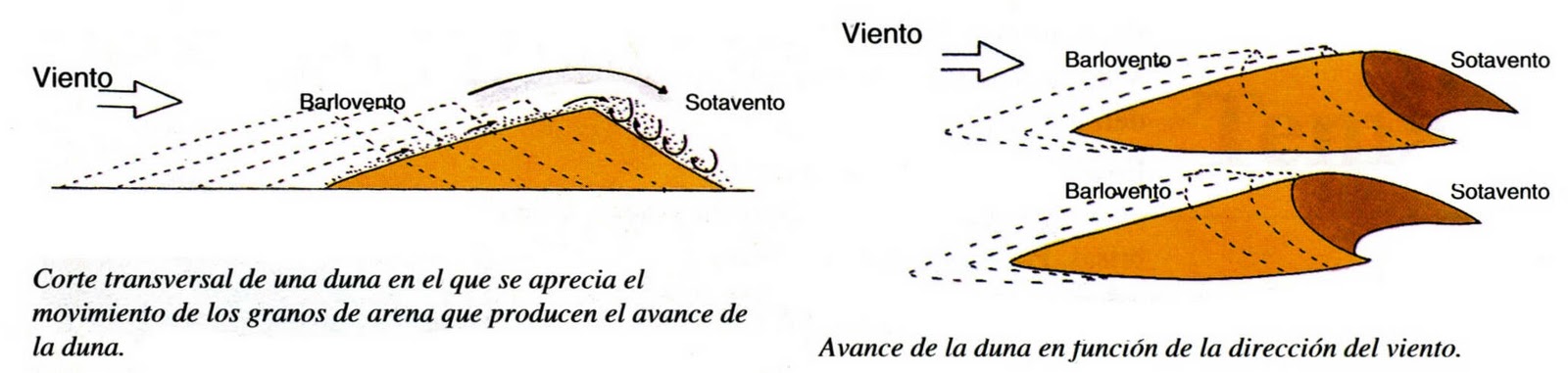 Geología de 4º