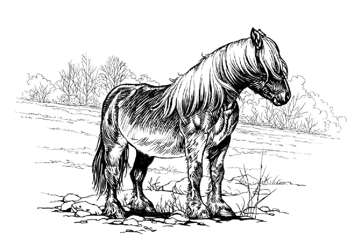 Cuines de la Vall de Camprodon: Temporada gastronòmica del Poltre