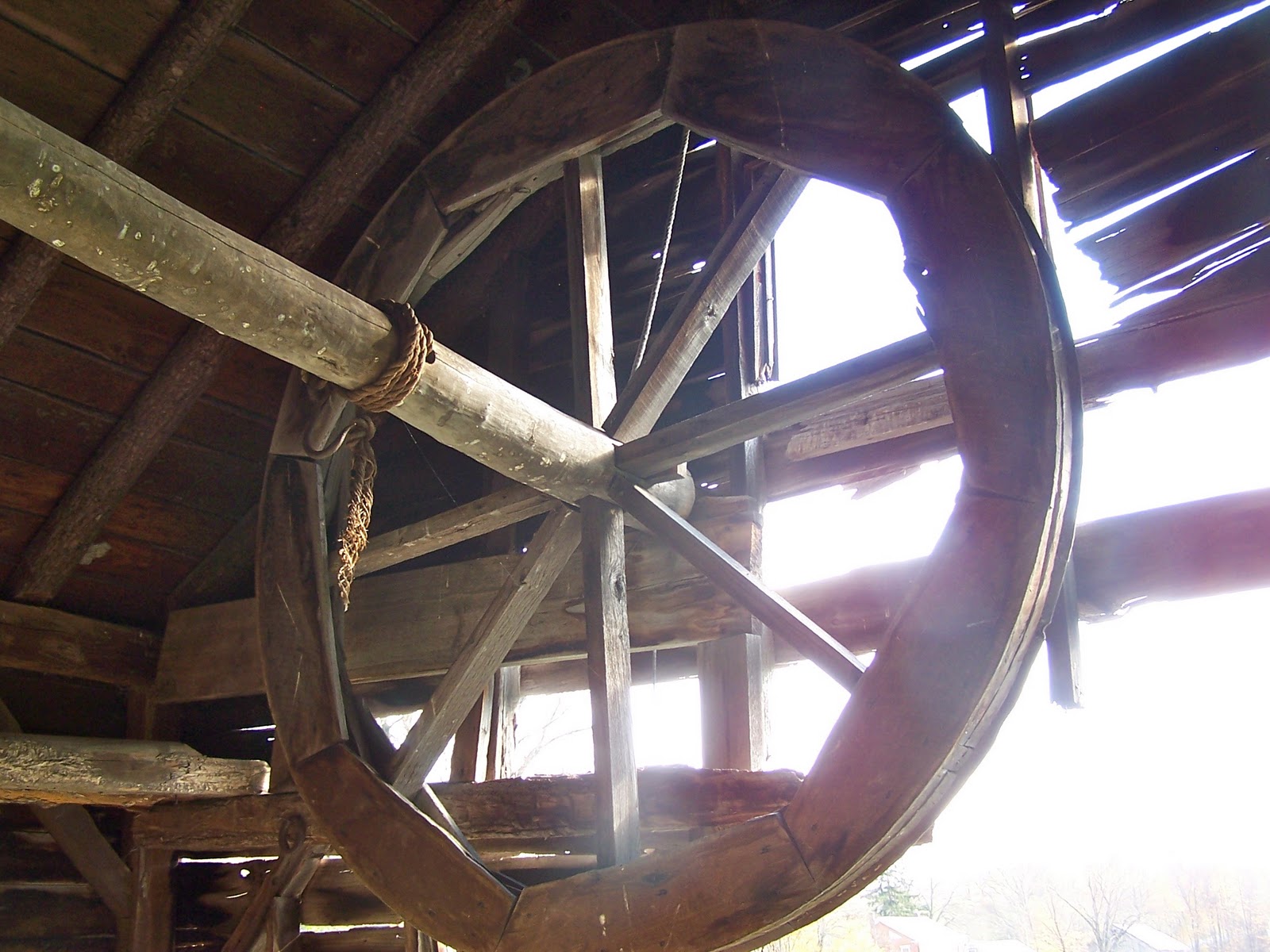 Wayward Goose Farm: The pig barn