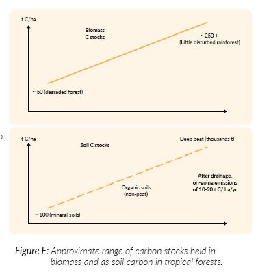 khor reports - palm oil: HCS+ Science Study proposes strong carbon ...