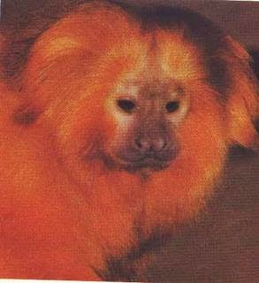 ORACIONES PARA PETICIONES URGENTES: Leyendas Urbanas De Costa Rica - El ...