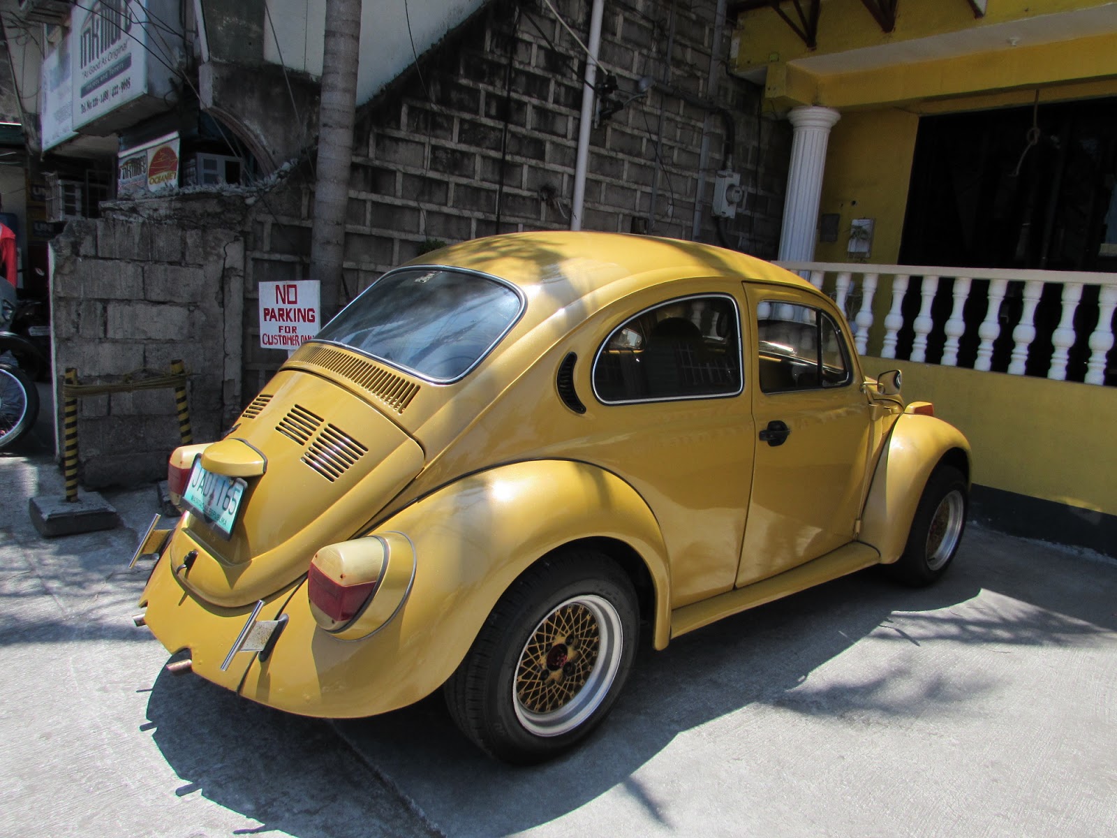 Sorry,all the clever names are taken.: The Mustard Colored Beetle