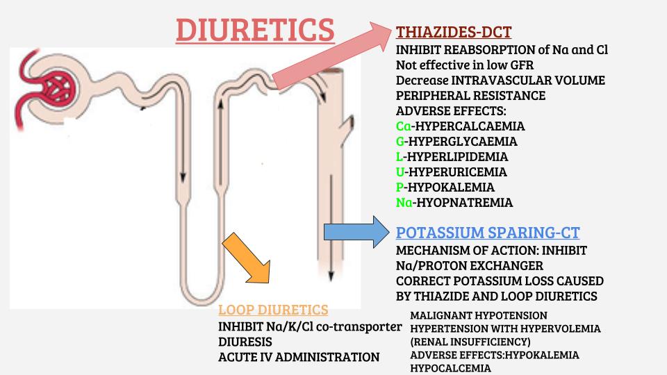 MBBS STUDENT RESCUE: PHARMACOLOGY: DIURETICS