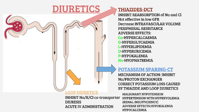 MBBS STUDENT RESCUE: PHARMACOLOGY: DIURETICS