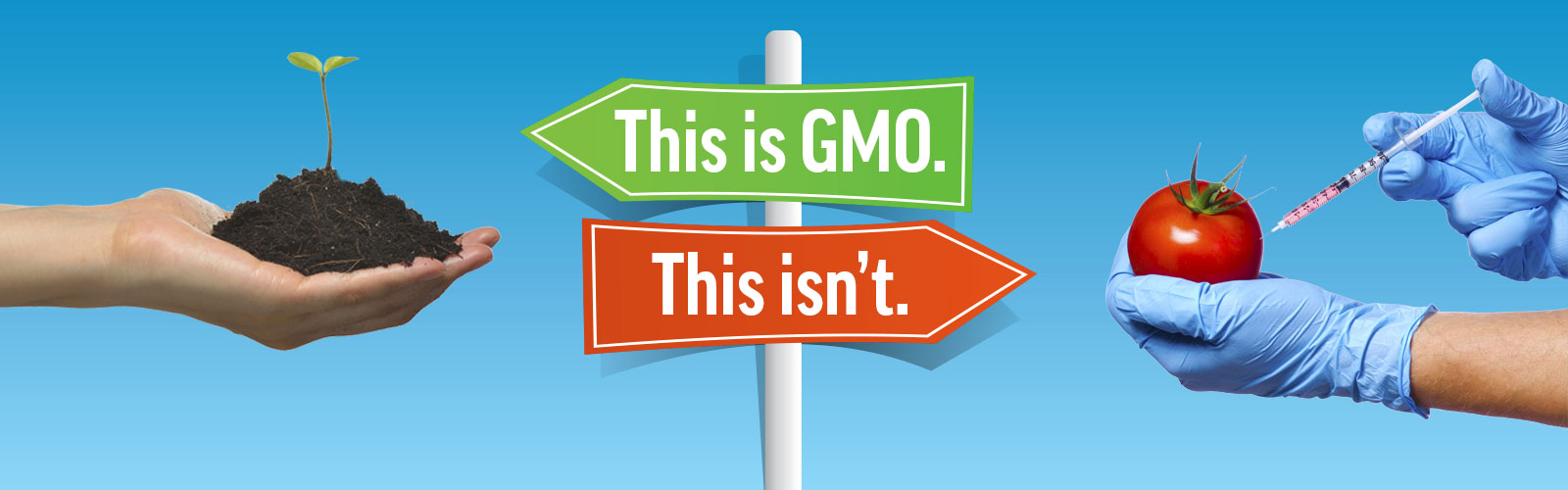 Nebraska Corn Kernels: 8 is great when it comes to GMO