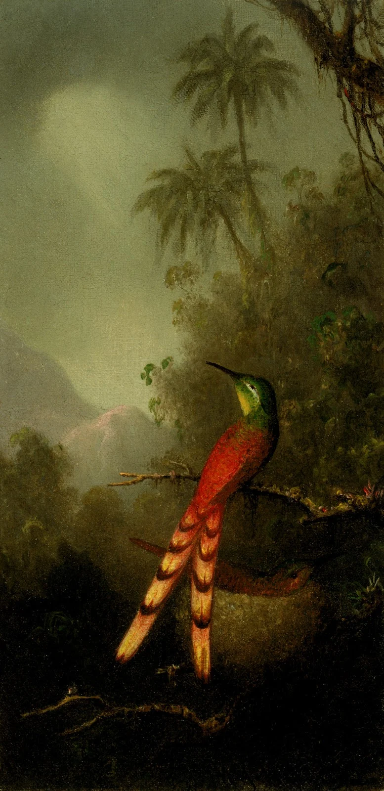 Martin Johnson Heade | Still Life | Tutt'Art@ | Pittura * Scultura ...