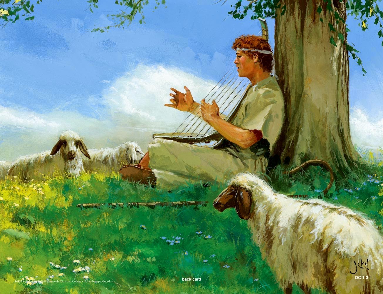 Emmaus Road Ministries The Sea Of Galilee