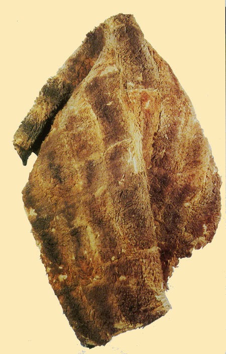 A Woodsrunner's Diary: The Indigenous Australian Matchcoat or Cloak ...