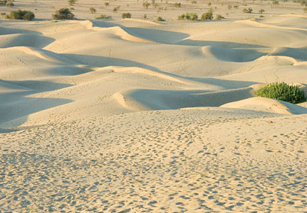 Redefining the Face Of Beauty : WORLD'S MOST BEAUTIFUL DESERTS!