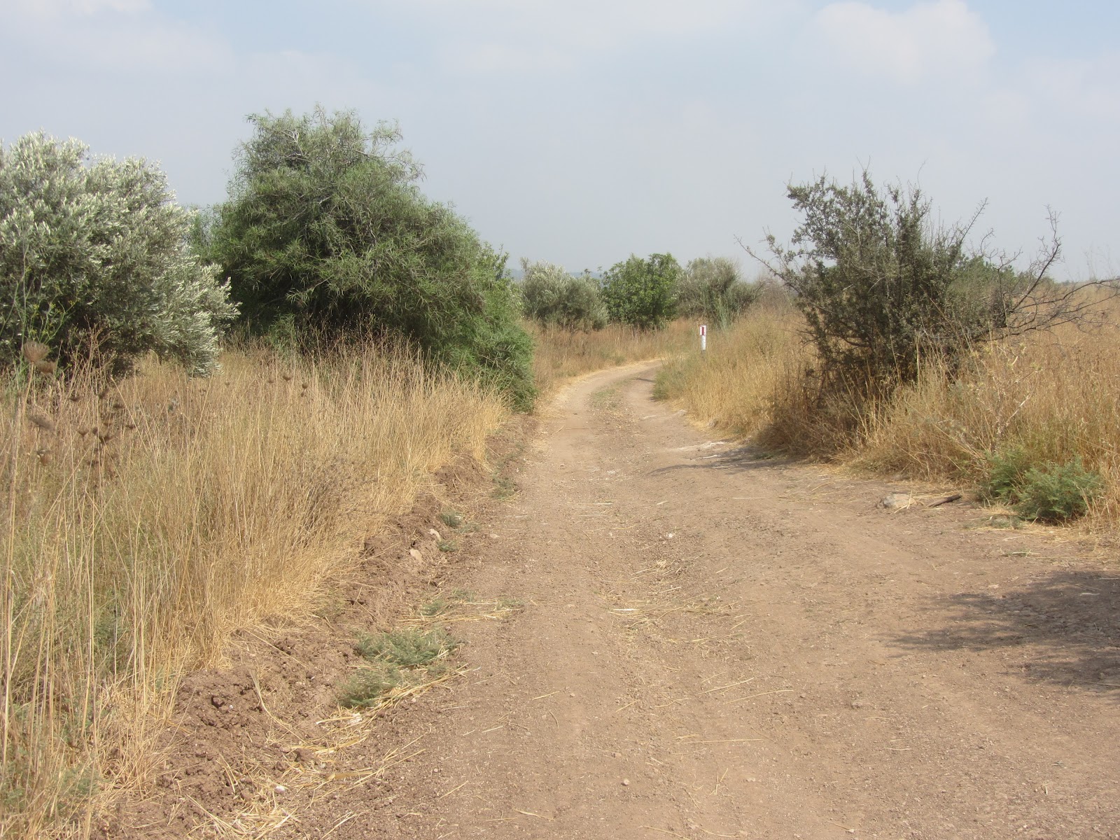 Huntsmans in the Holy Land: Old Jaffa and the Burma Road