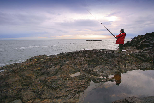 Winter Cod Fishing on Rough Ground