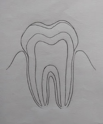 DRAW IT NEAT: How to draw tooth diagram labeled.