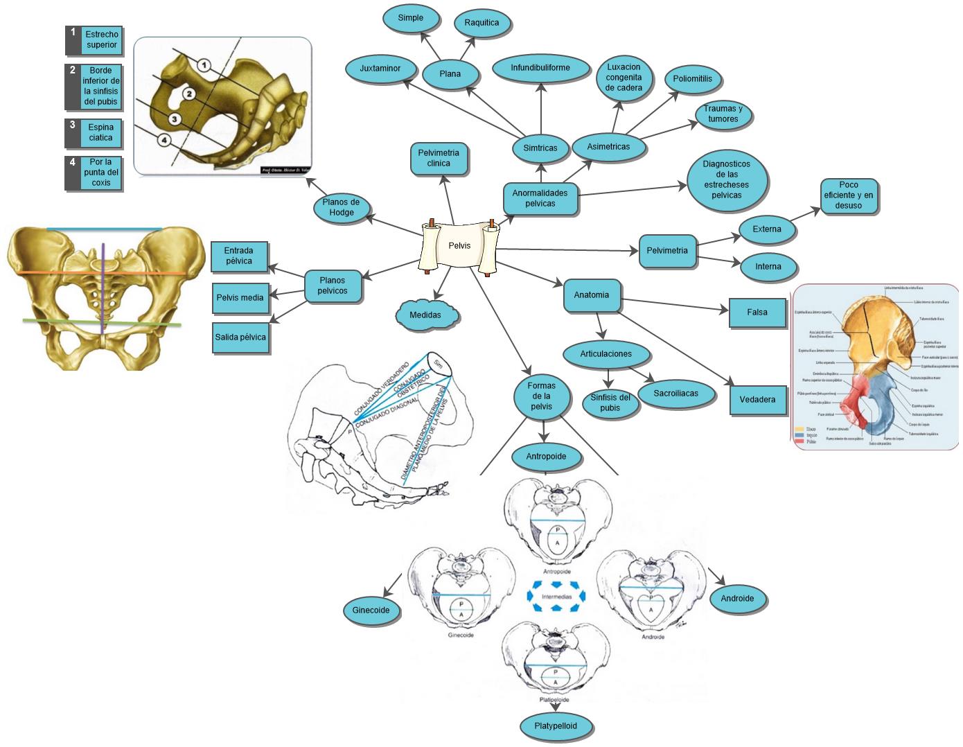 Ginecología y Obstetricia: Pelvimetria