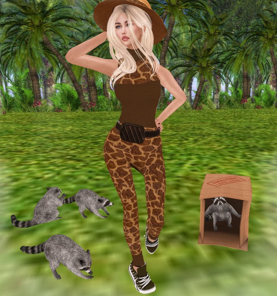 Dizzy Duckling Diary: March 2019