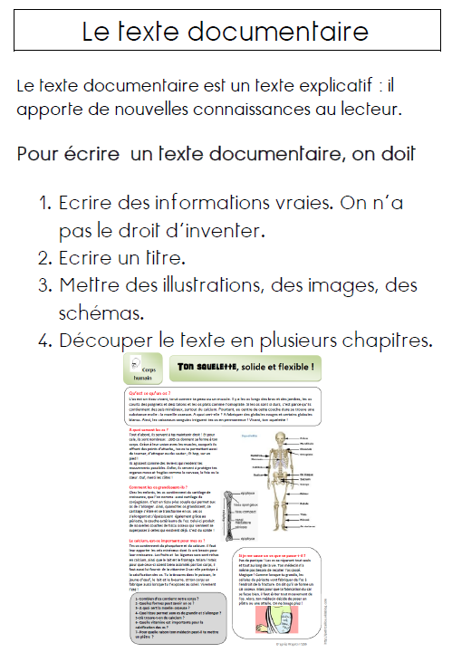 Delfynus - Une maitresse qui vous veut du bien: Rédiger un documentaire