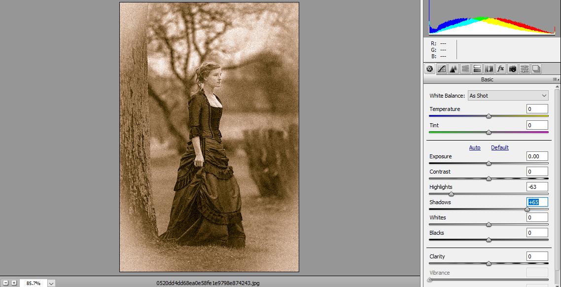 How to Create an Old Photo Effect with Photoshop - Photoshop Photo ...