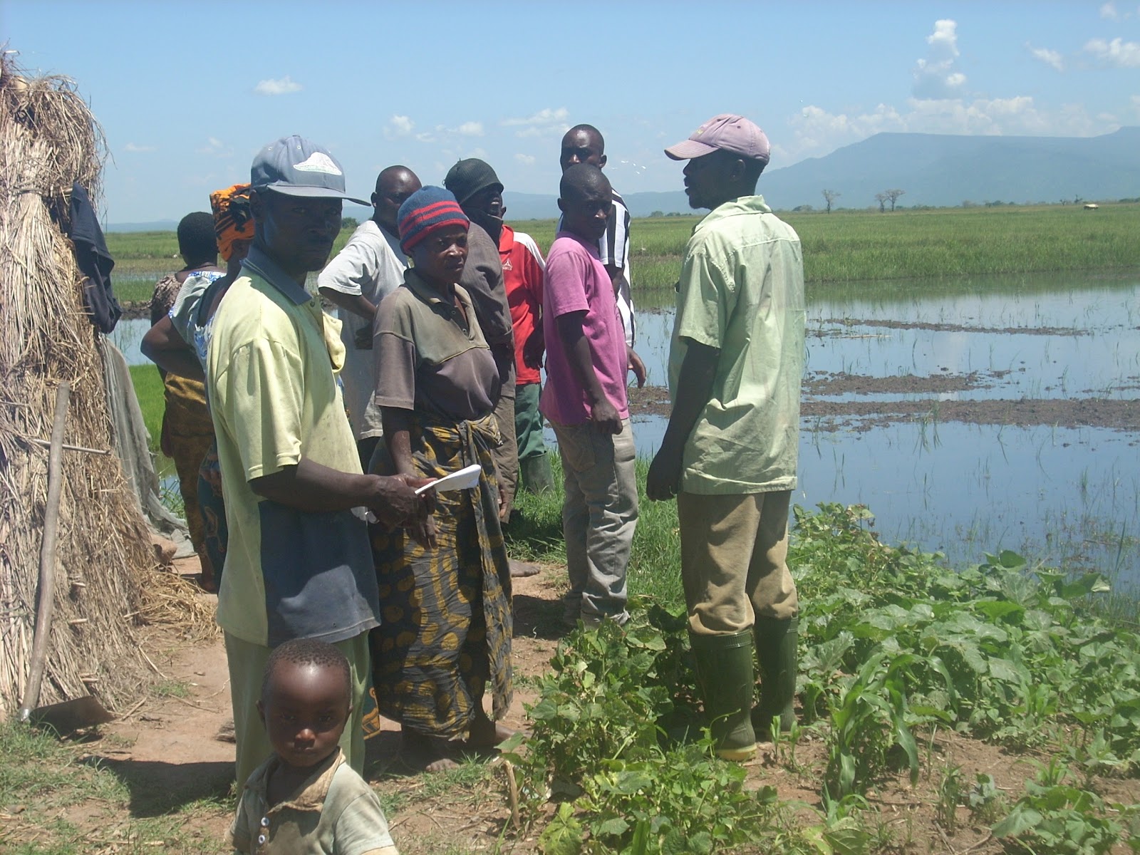 Matukio yakikatili yaliyosababishwa na Mwekezaji wa Kapunga Rice ...