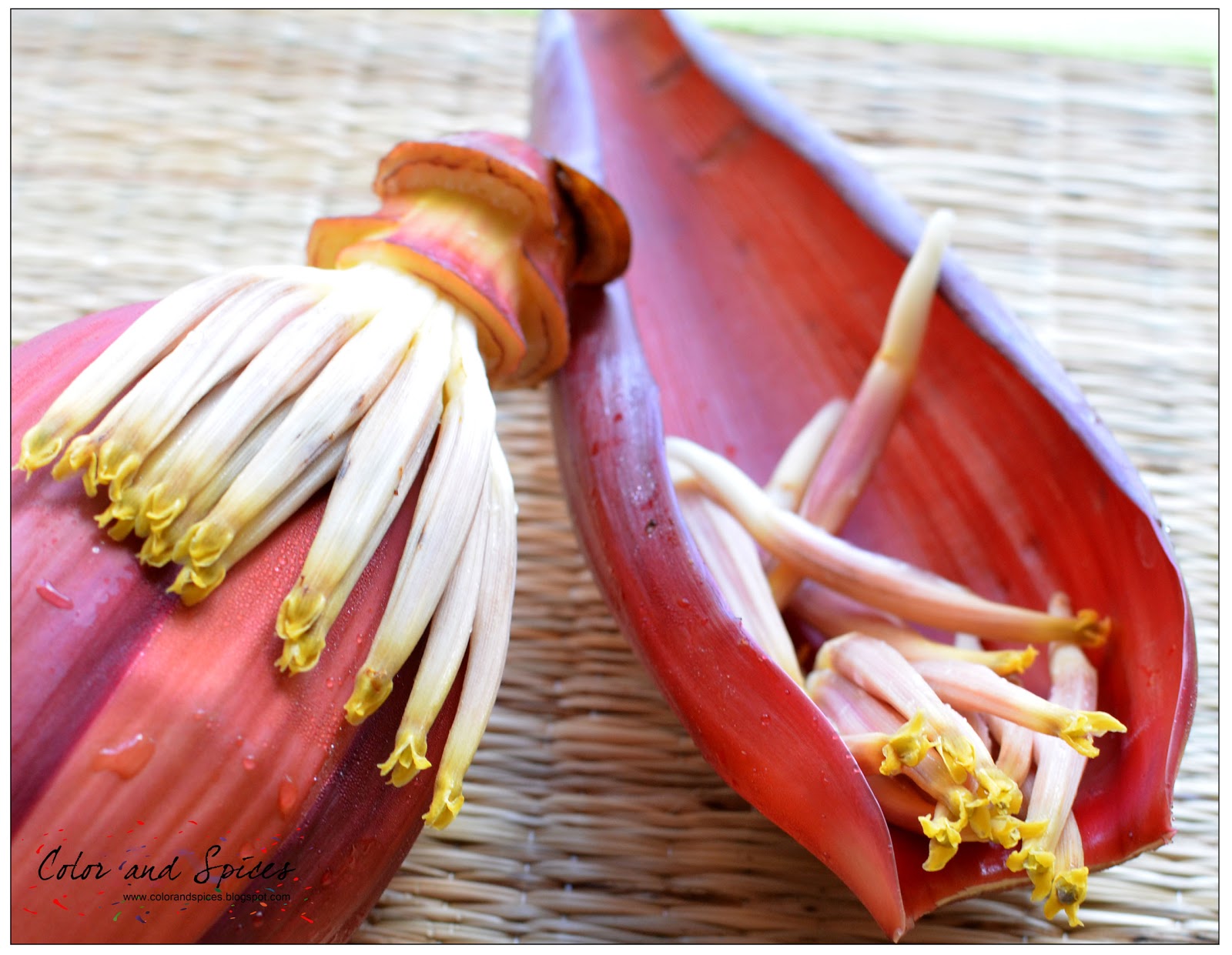 Color and Spices: Mochar Ghonto