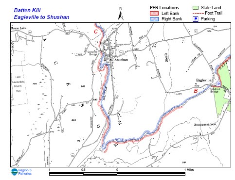 The Rusty Spinner: Battenkill Access