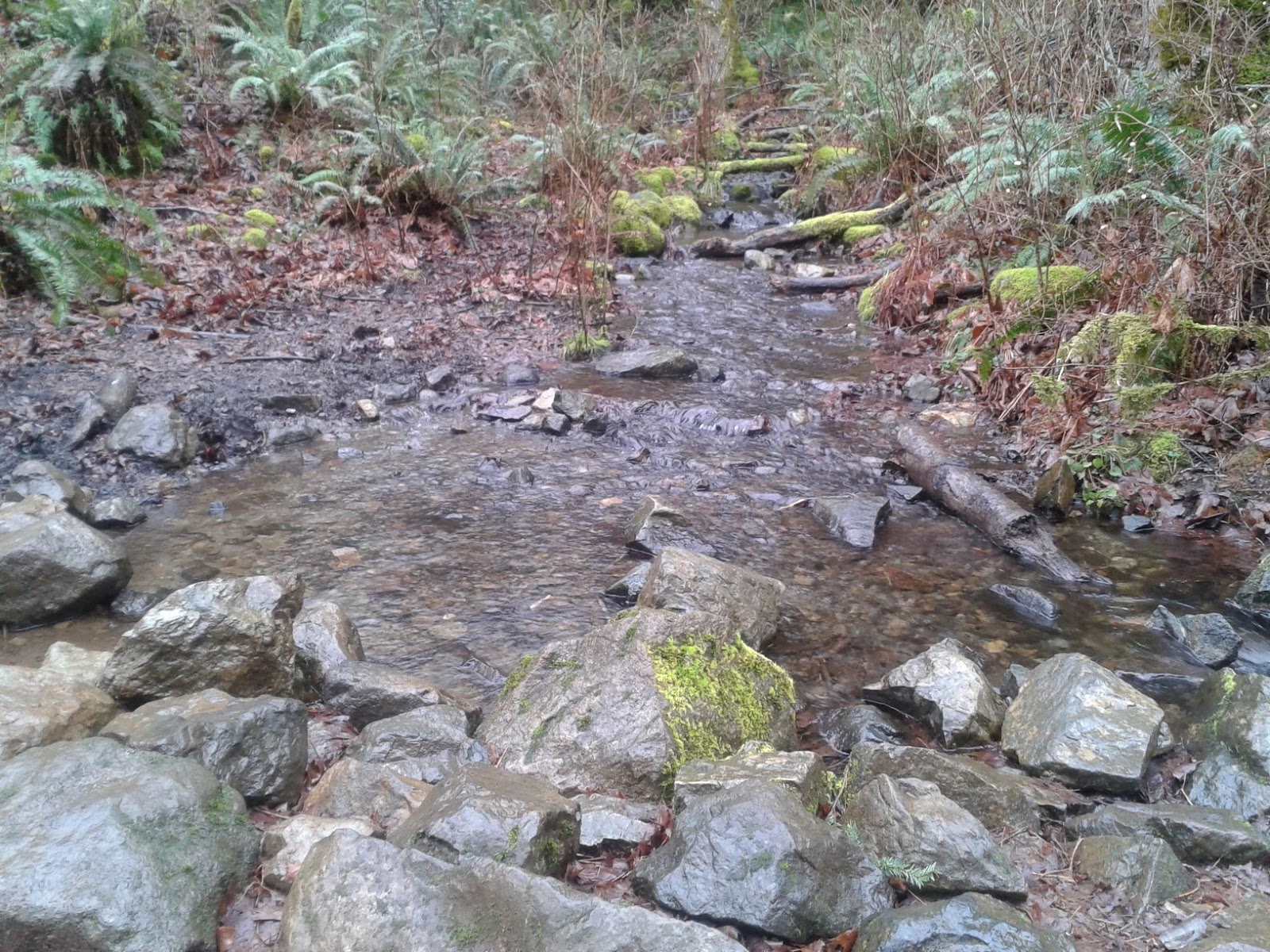 Urban Trailseeker: Hiking Trip Report: Little Si, Boulder Garden Loop