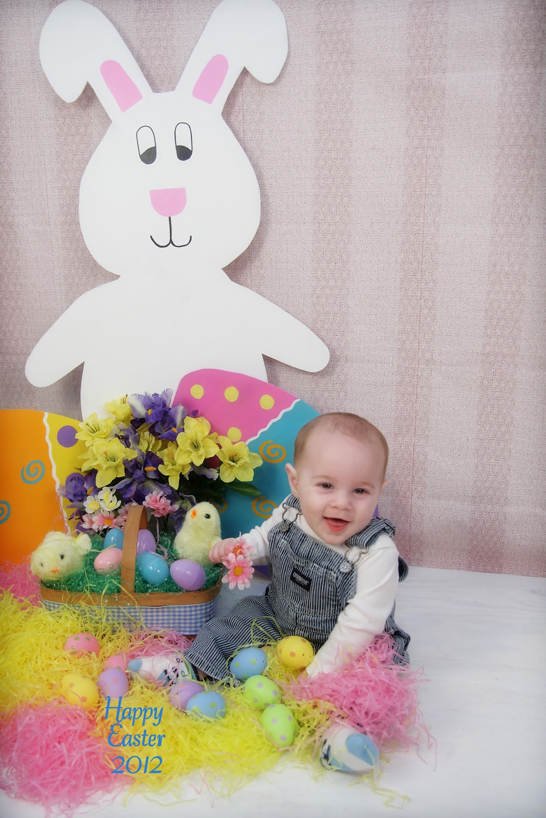 Wanda Faircloth Photography